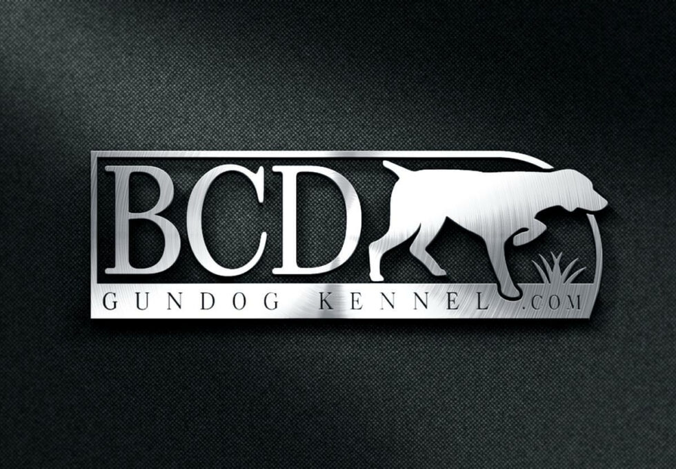 BCD Gundog Kennel Logo | SwiftDone